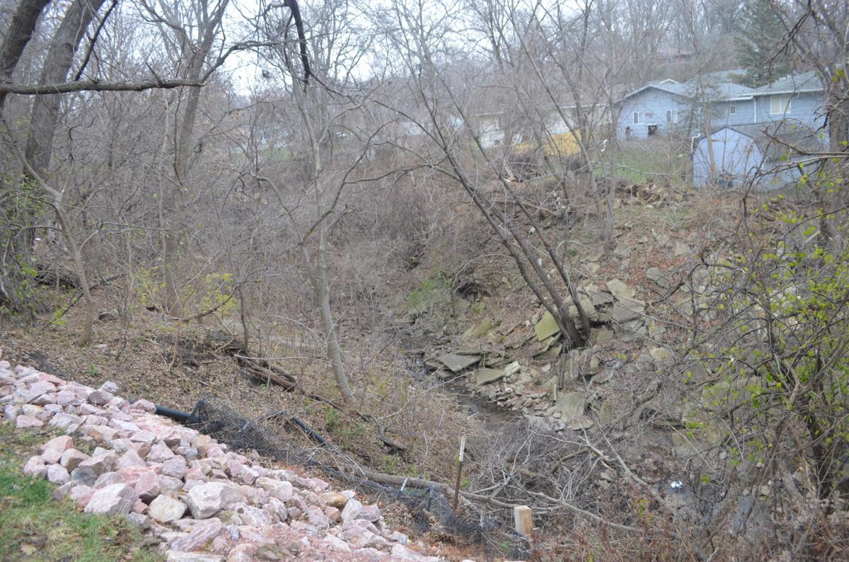 City plans steps to subdue widening Morningside ravine