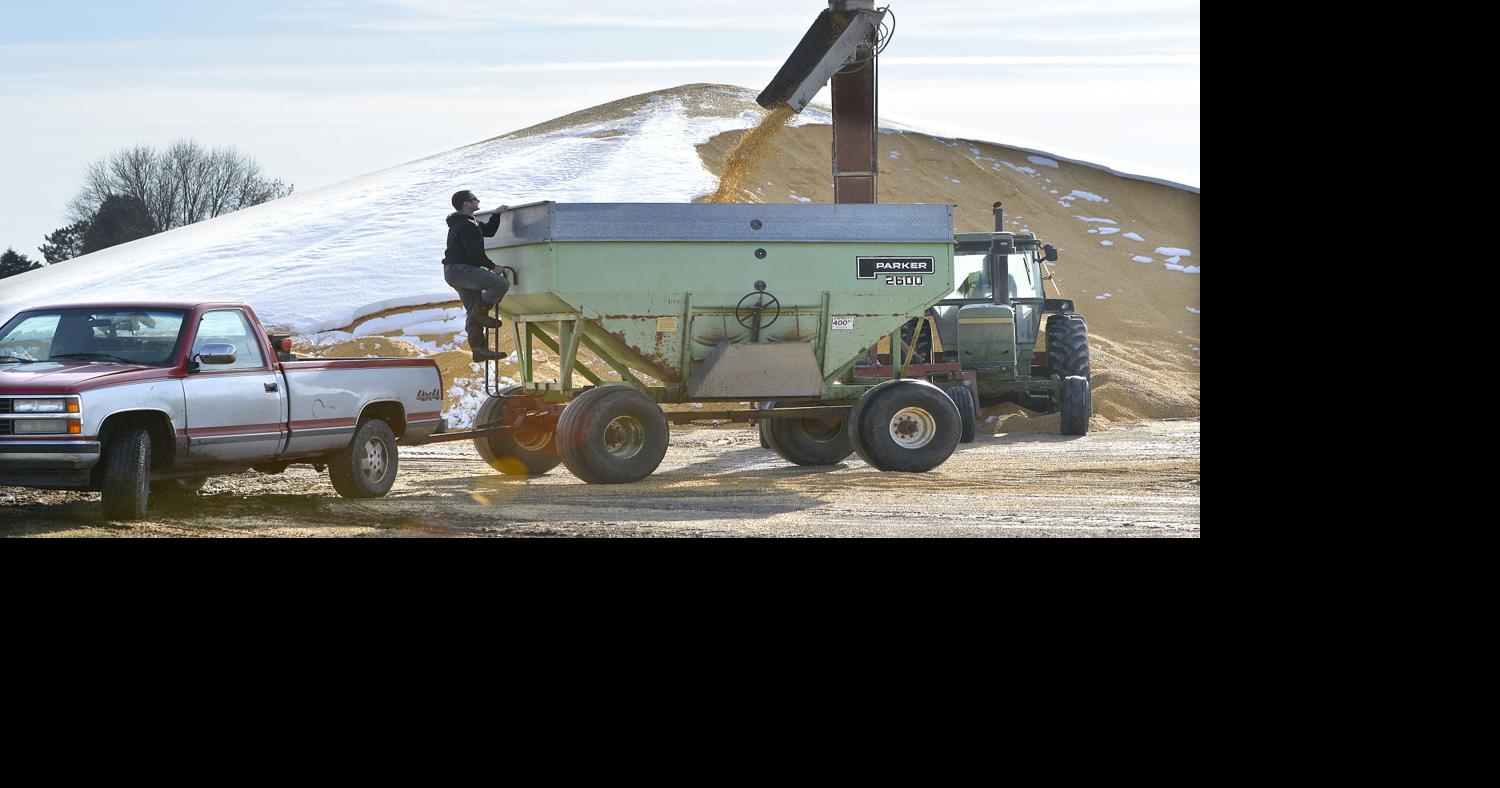 Ideal weather brings a bountiful harvest for Siouxland