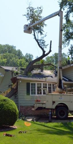 Crime Watch video: Tree crushes Sioux City family's living room