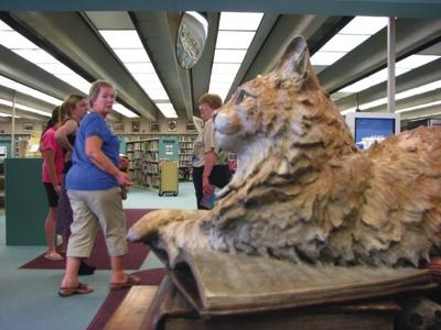 Gallagher: Thousands ‘check out’ home of late library cat