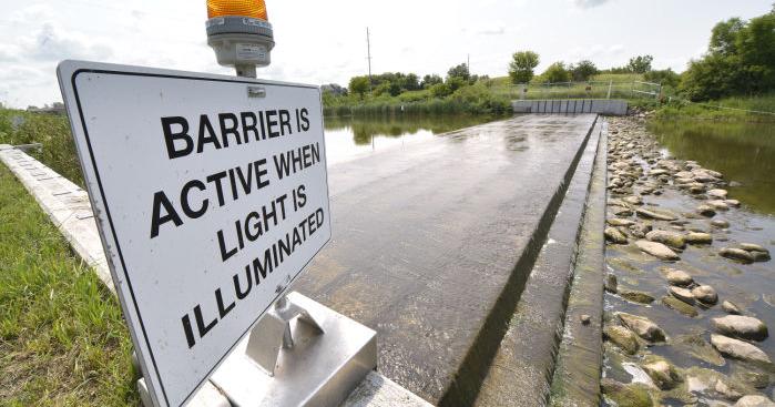 $1 million carp barrier having impact in Iowa Great Lakes, officials say
