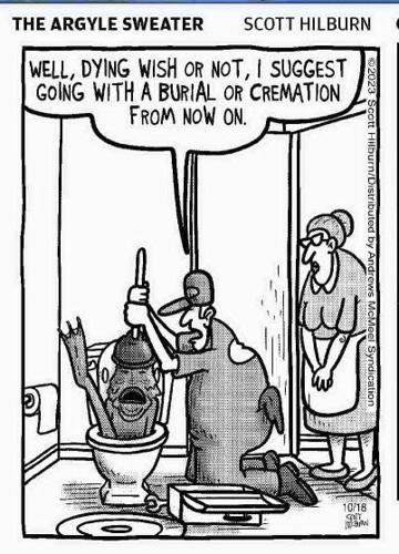 Page D3 eedition image