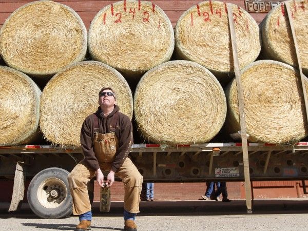 GALLAGHER: Making hay all day in Rock Valley