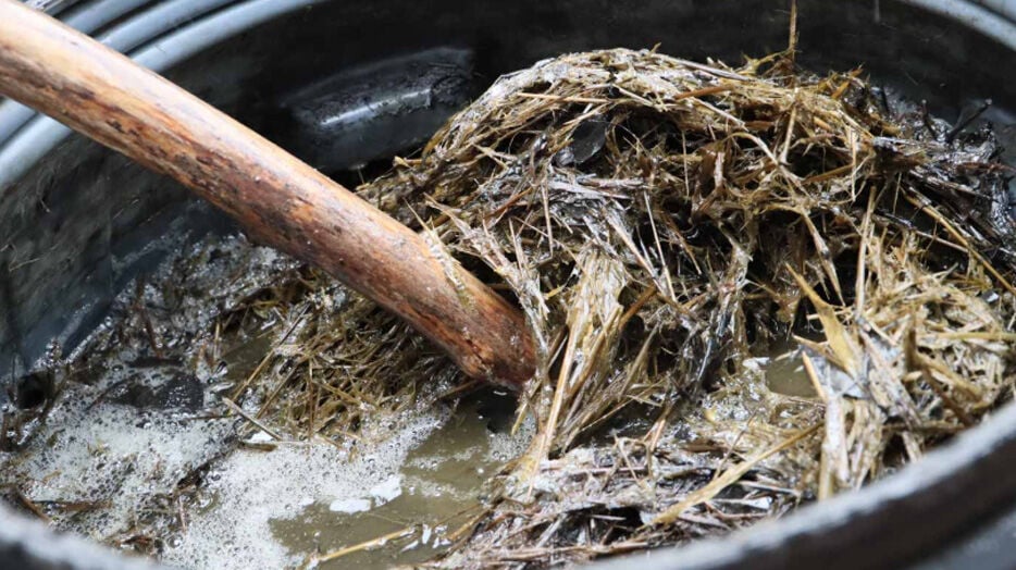 Virginia growers adopt JADAM’s all-natural enhancements for soil health ...