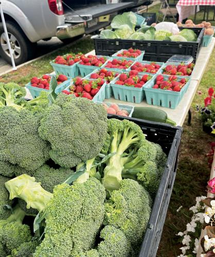Moneta Farmers’ Market opens at ripe time for residents in search of ...