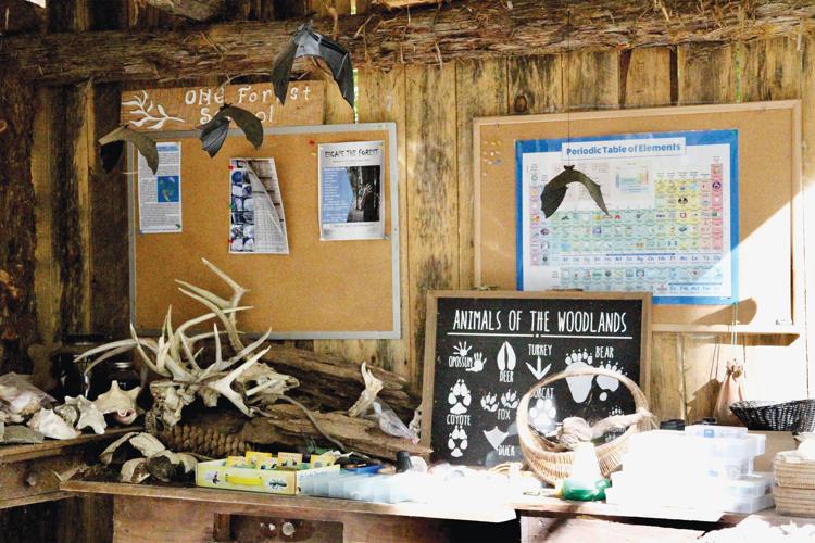 ONE Forest School’s fall festival introduces parents and children to ...