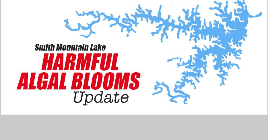 Virginia Department of Health addresses Harmful Algal Blooms at Smith Mountain Lake | Local News ...