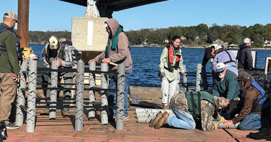 Appalachian Power employees assist DWR with fish habitat restoration ...