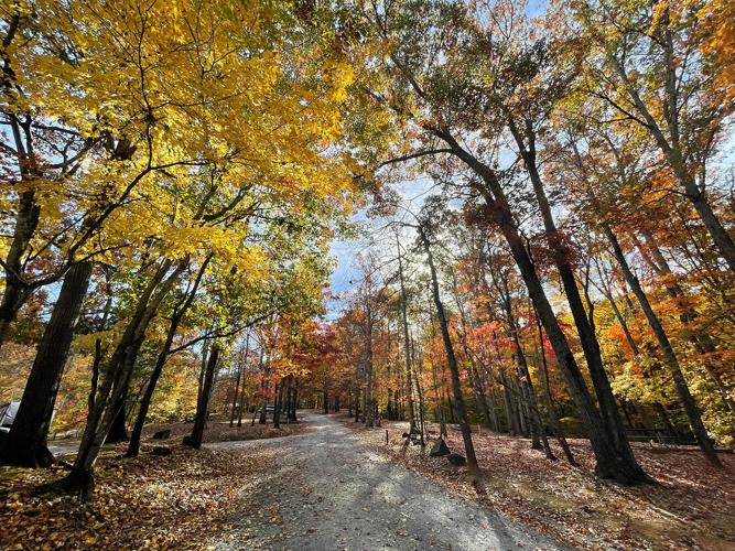 'Opt Outside' at Smith Mountain Lake State Park Thanksgiving weekend ...