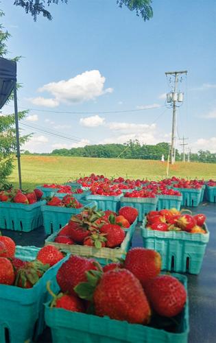 Moneta Farmers Market begins second market season at SML/Moneta Library ...