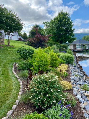Tips for creating a shoreline buffer garden | Local News ...