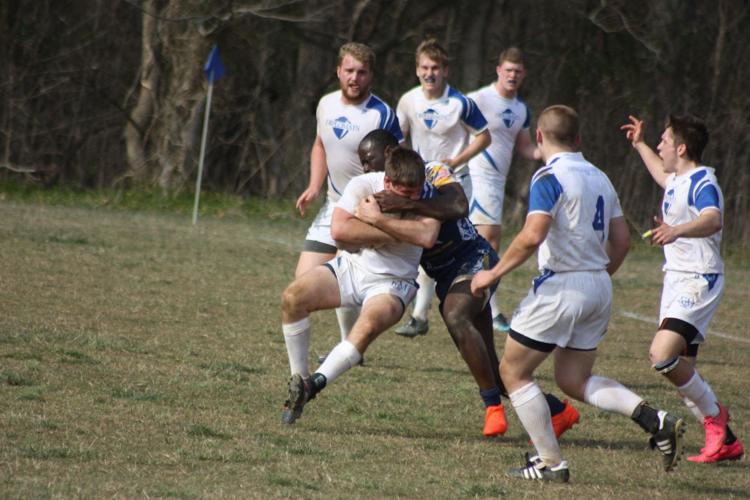 Highs and lows for St. Mary's College of Maryland spring sports teams ...