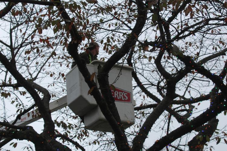 It's beginning to look a lot like Christmas at Herr's | Arts and ...