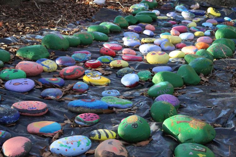 Elementary school Green Club preserves trail | Local News | somdnews.com