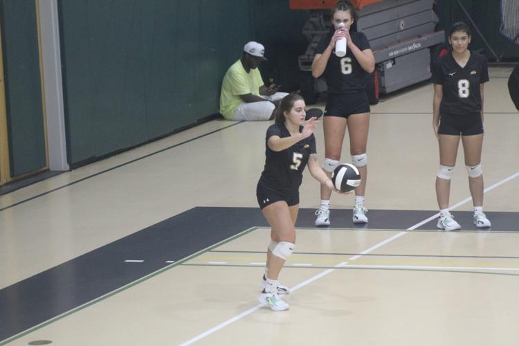 College of Southern Maryland volleyball off to fast start | College ...