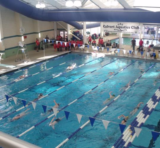 Calvert Aquatics Club members just keep swimming | News | somdnews.com