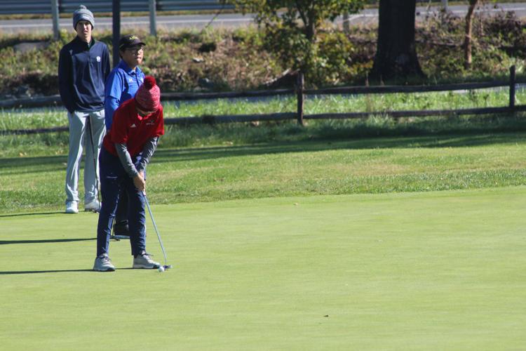 North Point's Davis, St. Charles' Spann in the hunt at state golf ...
