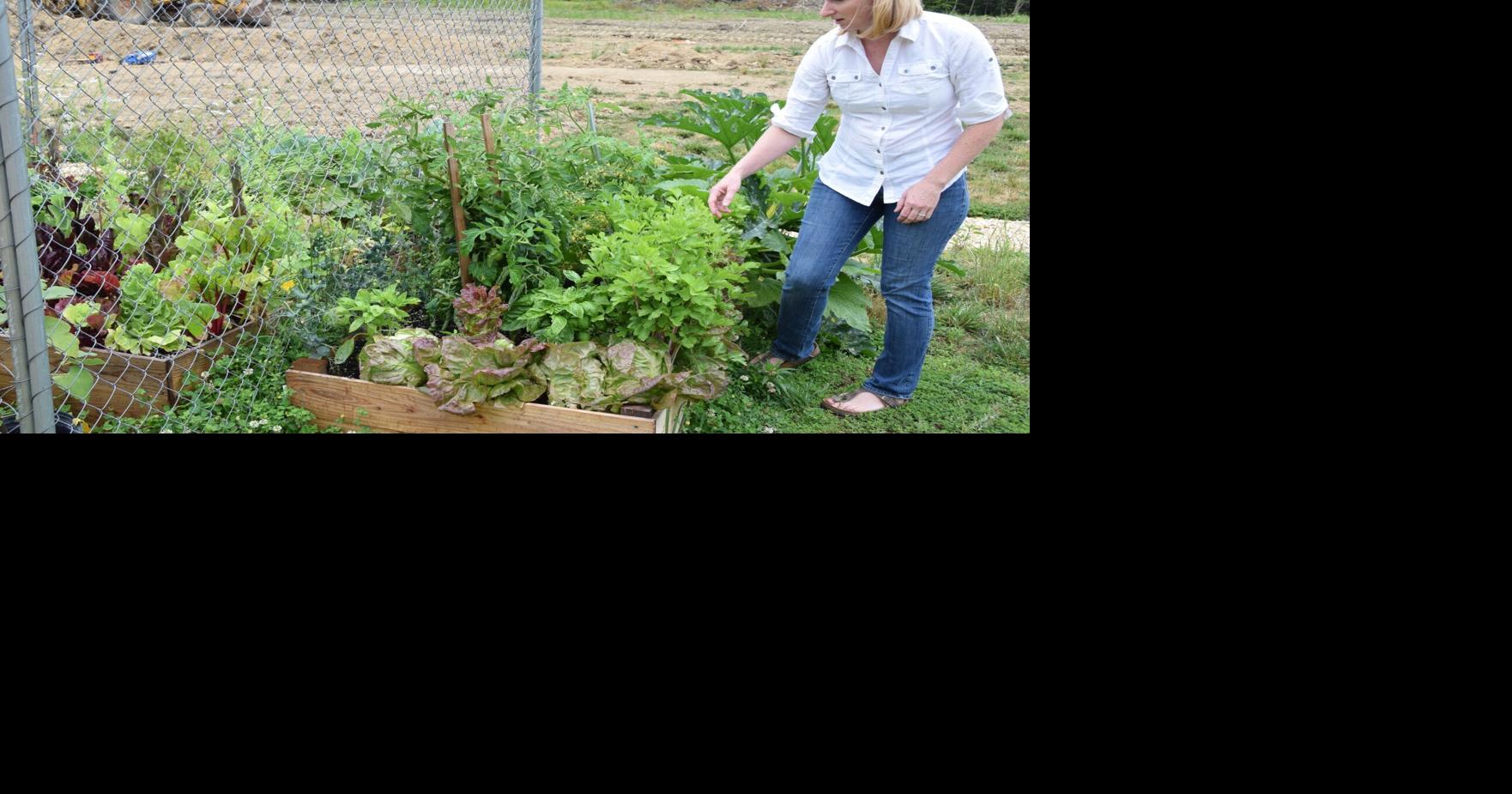 Volunteer-run Patuxent Tidewater Land Trust hires new conservation ...