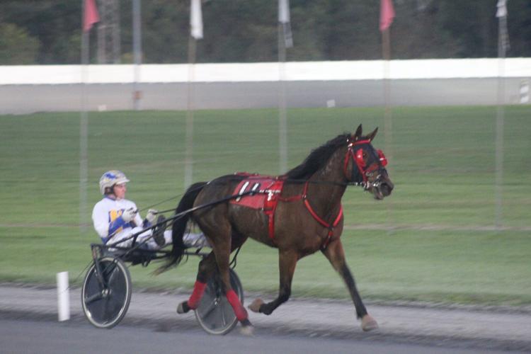 Rosecroft hosts four Maryland Sire Stakes finals | Local News ...