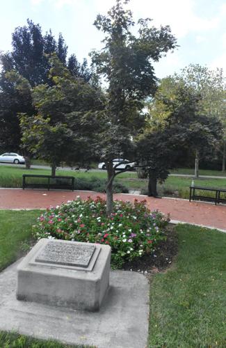 'I think of this as Stephanie’s legacy': Center marks 40 years of ...