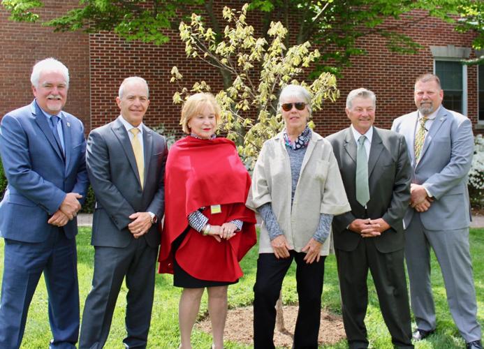 Calvert courthouse has new oak tree | Local News | somdnews.com