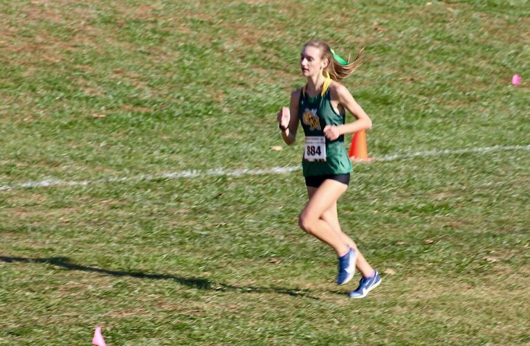SMAC runners shine in state cross country meet | High School | somdnews.com