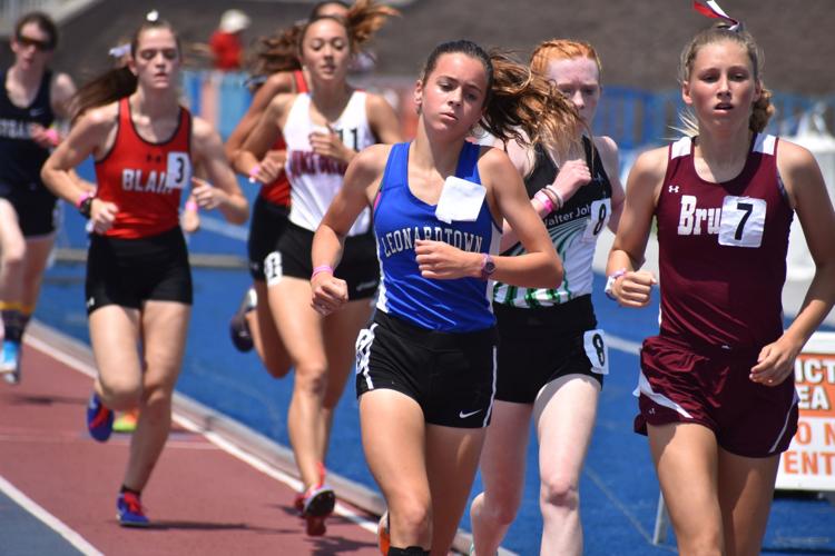 County track and field athletes shine at state track and field ...