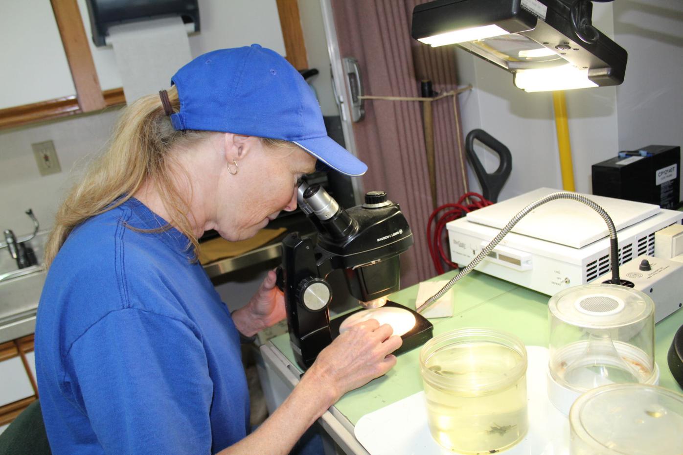 County has a new tool for combating mosquitoes | Spotlight | somdnews.com