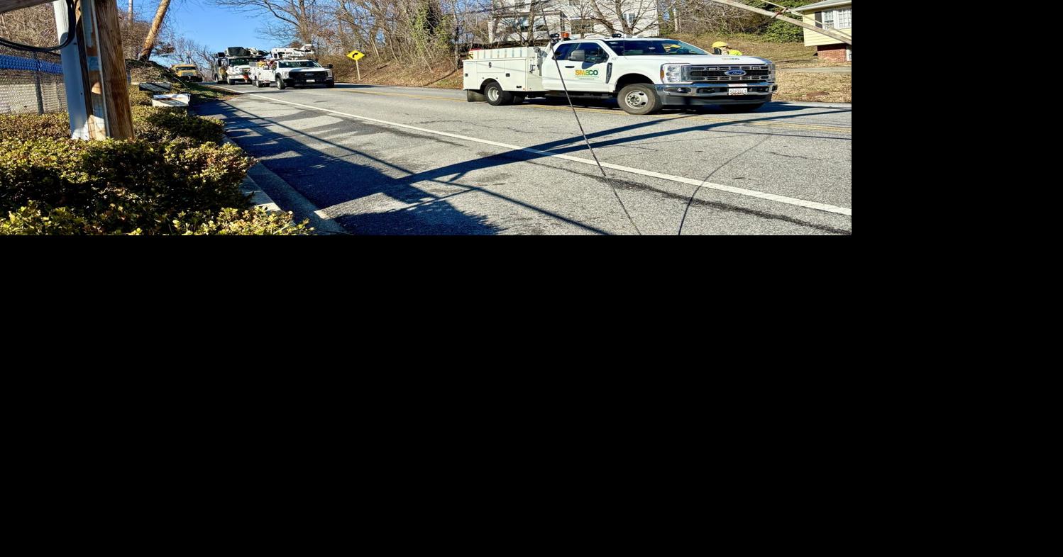 Thanks for a swift response to dangerous tree fall | Letters To Editor ...