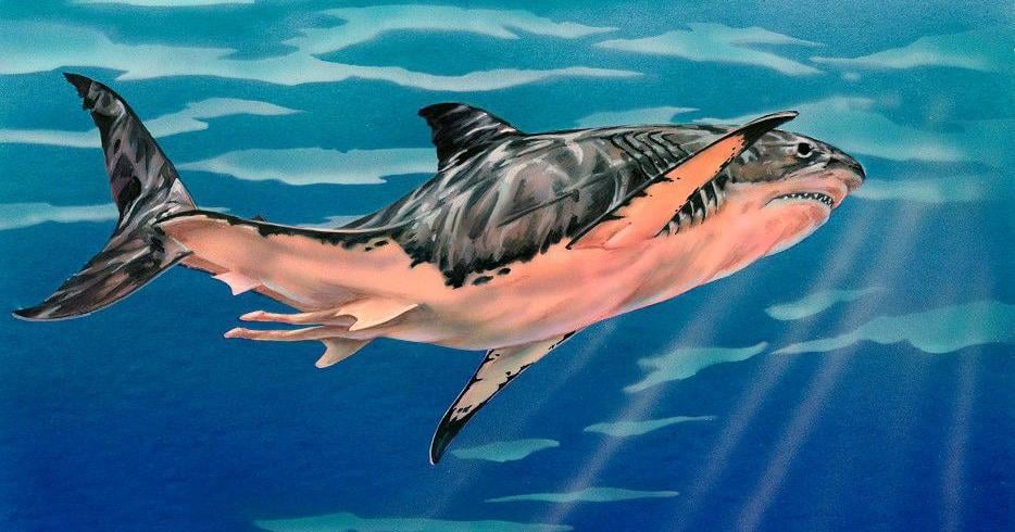 carcharodon megalodon bite force