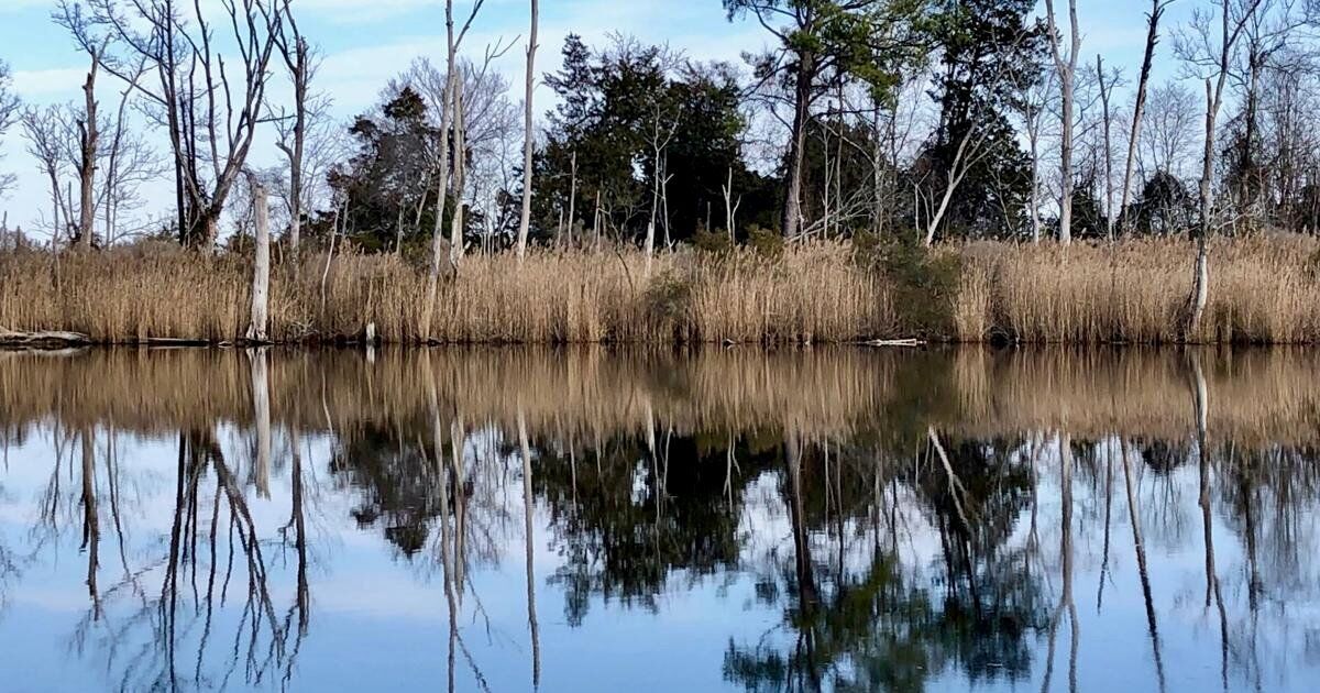 Calvert submits two requests for federal funds | Local News | somdnews.com
