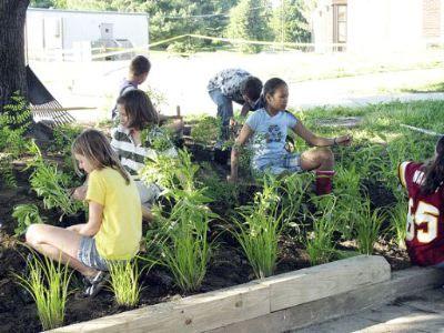 Northern Middle completes green project | Archives | somdnews.com