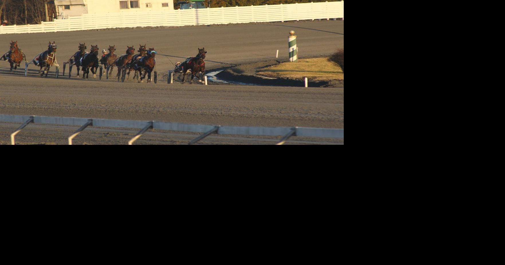Rosecroft Raceway offers solid Sunday card | Local News | somdnews.com