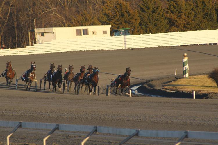Rosecroft Raceway offers solid Sunday card | Local News | somdnews.com