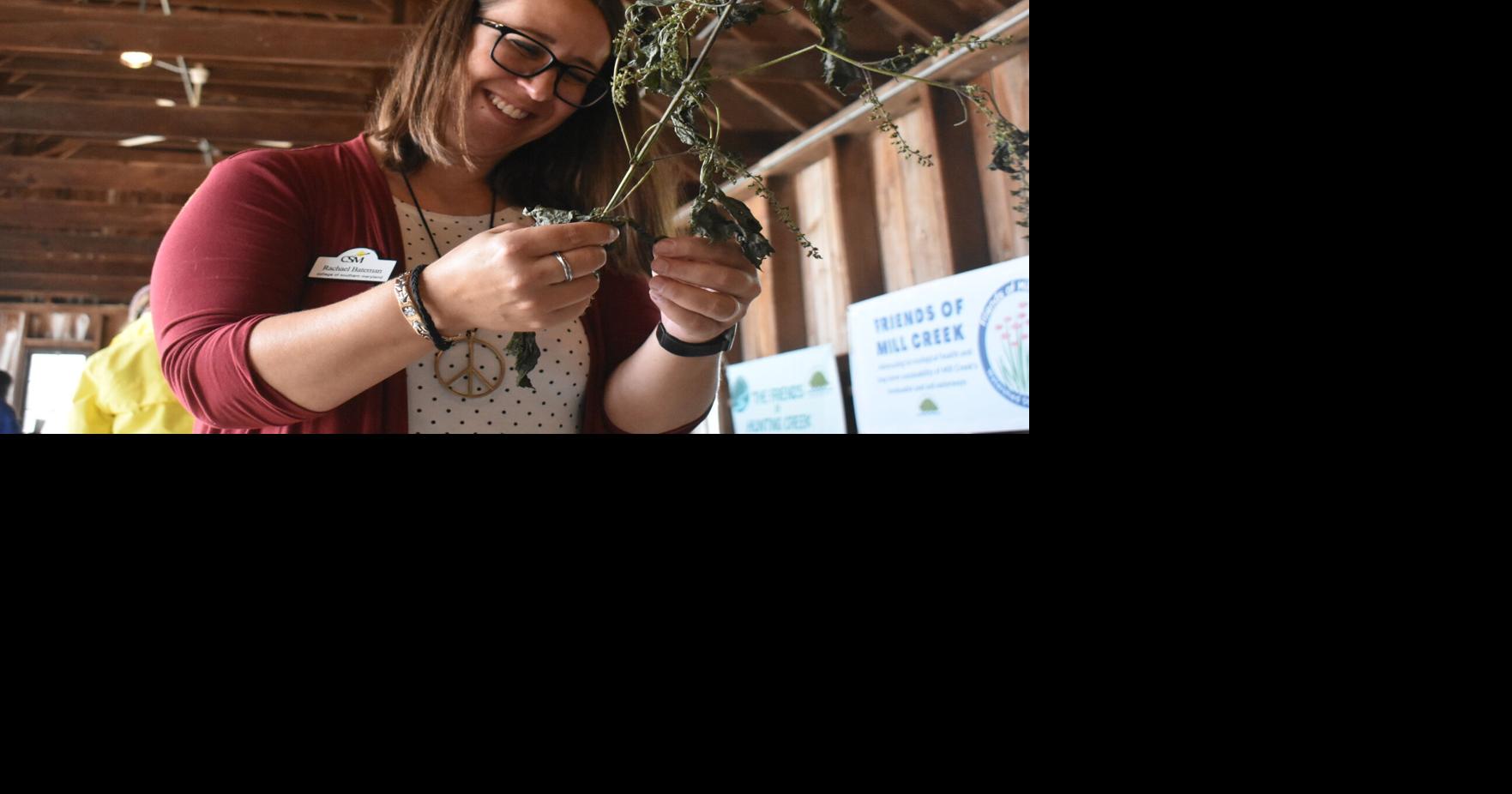 Part 2 in a series: What can be done against Maryland invasive species ...