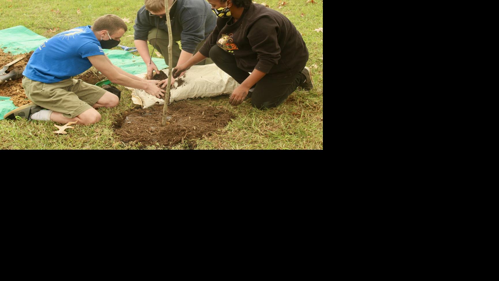Scouts planting trees | Local | somdnews.com