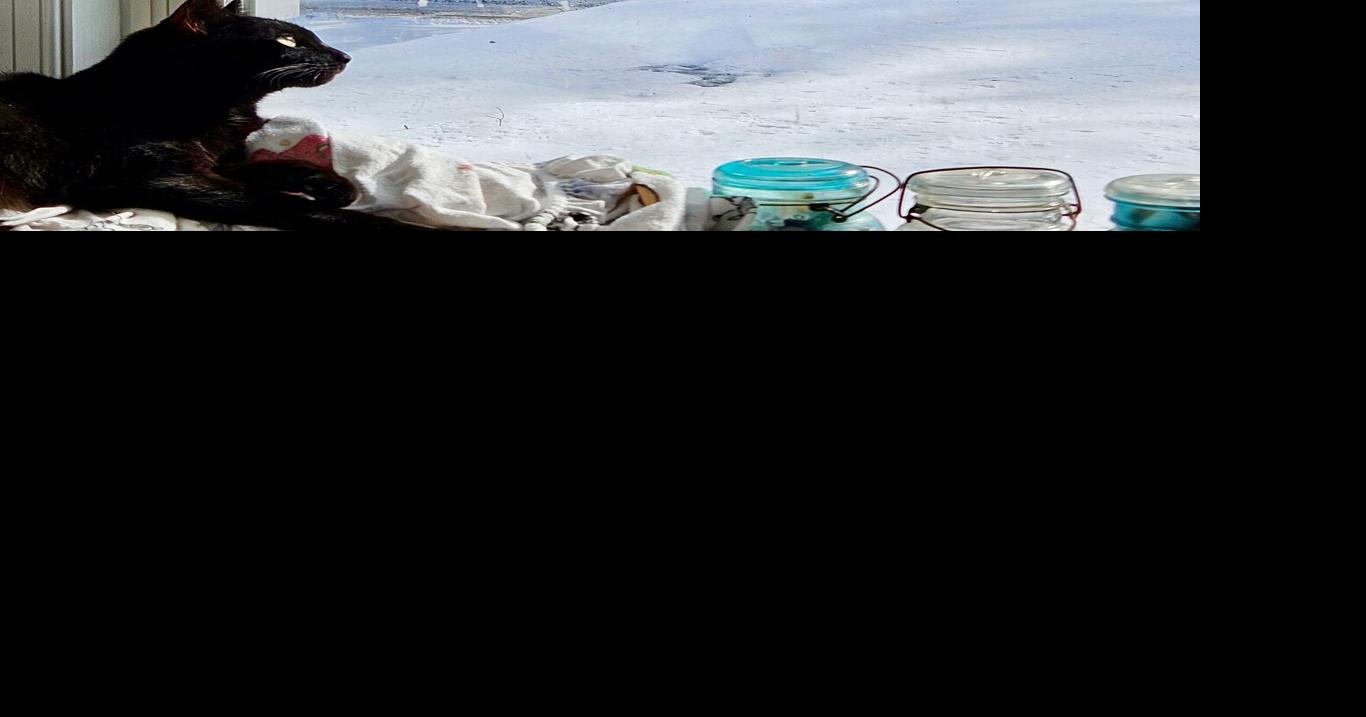 Lonesome River Band comes to the Calvert Elks Lodge | Columns ...