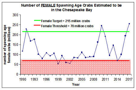 Female blue crabs in Chesapeake Bay reach historical high | Local News ...