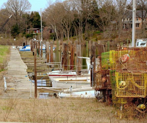 Freedom Landing photographers show county ‘Through Our Lenses’ | News ...