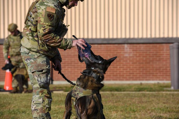 Ruff Riders: Military working dogs, 1st helicopter squadron conduct ...