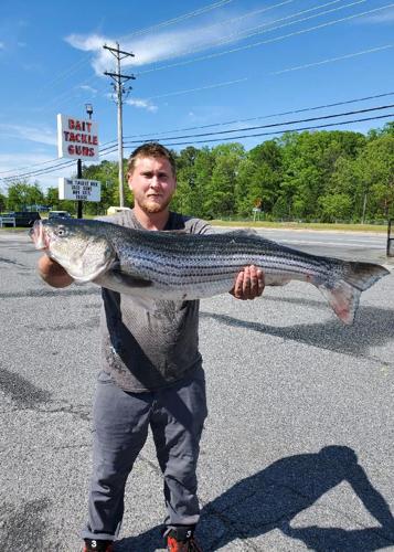 Trophy rockfish season begins | Outdoors | somdnews.com