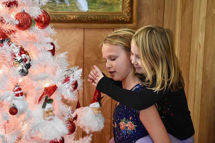 Tree auction branches out to help hospice | Local | somdnews.com