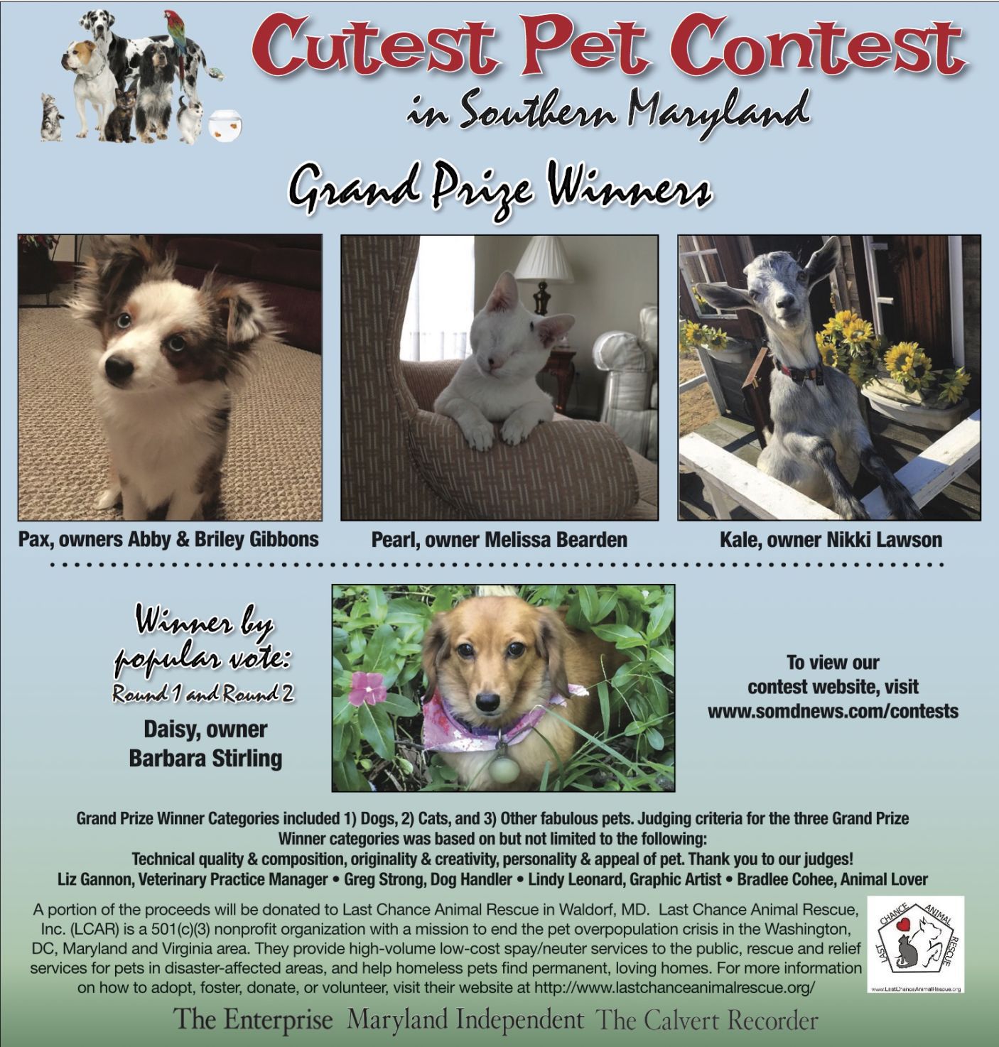 Cutest Pet Contest Contests Somdnews Cutest Pet Contest Contests Somdnews