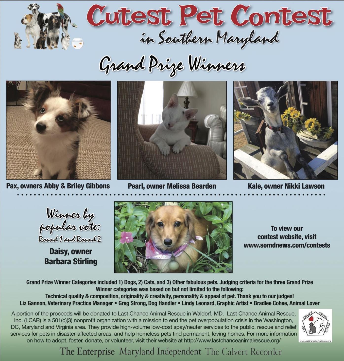 Cutest Pet Contest Contests Somdnews cutest-pet-contest-contests-somdnews