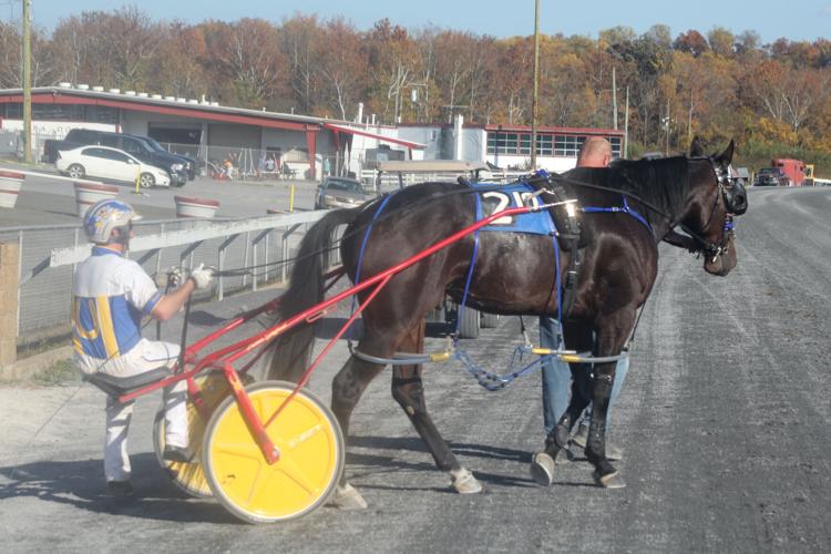 Rosecroft set to host Potomac Pace | News | somdnews.com