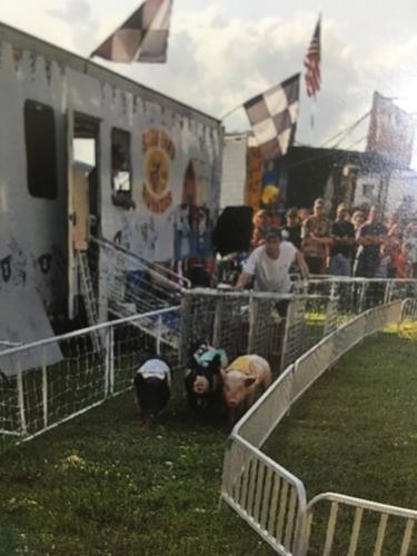 Calvert County Fair is 'just one big family event' | Spotlight ...