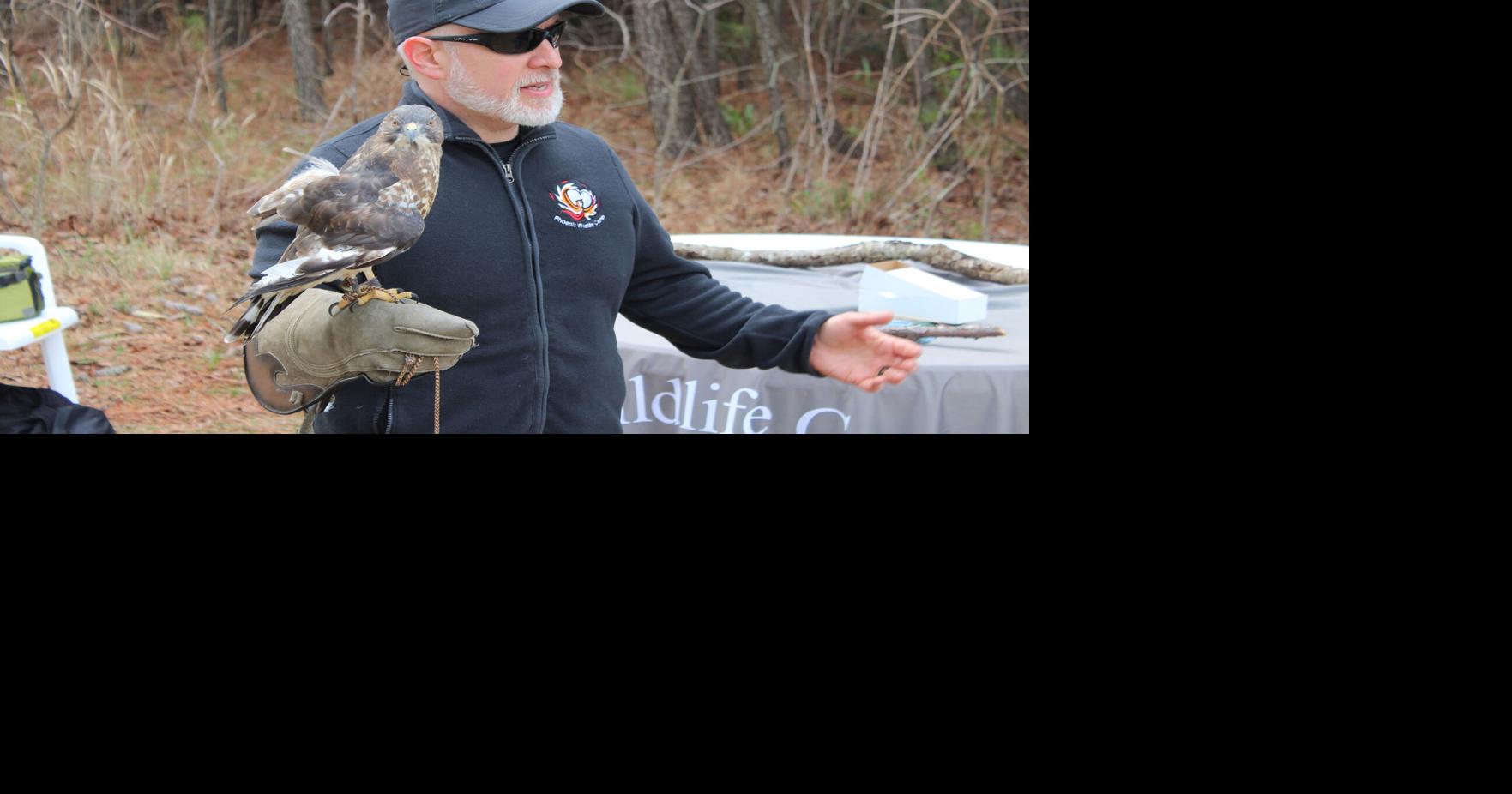 A celebration of osprey and nature | Local | somdnews.com