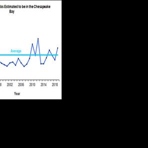 Chesapeake Bay crab population highest since 2013 | Local News ...