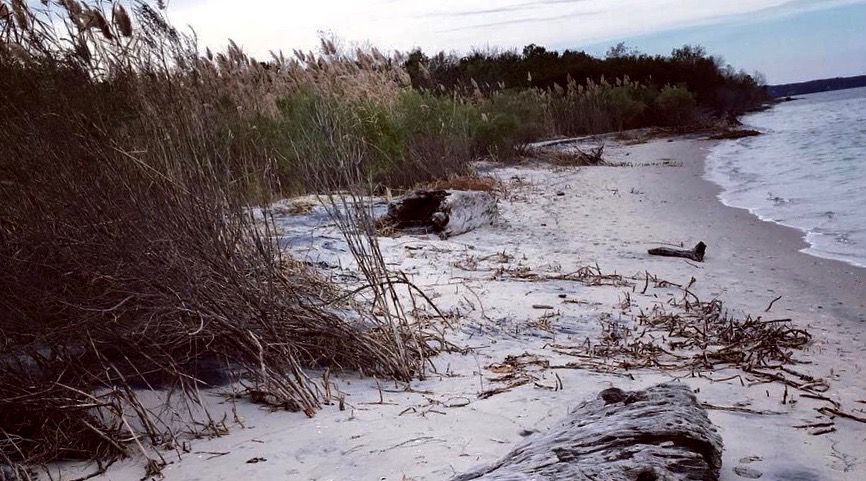 Reality show coming to Flag Ponds in Calvert County next week | Local ...