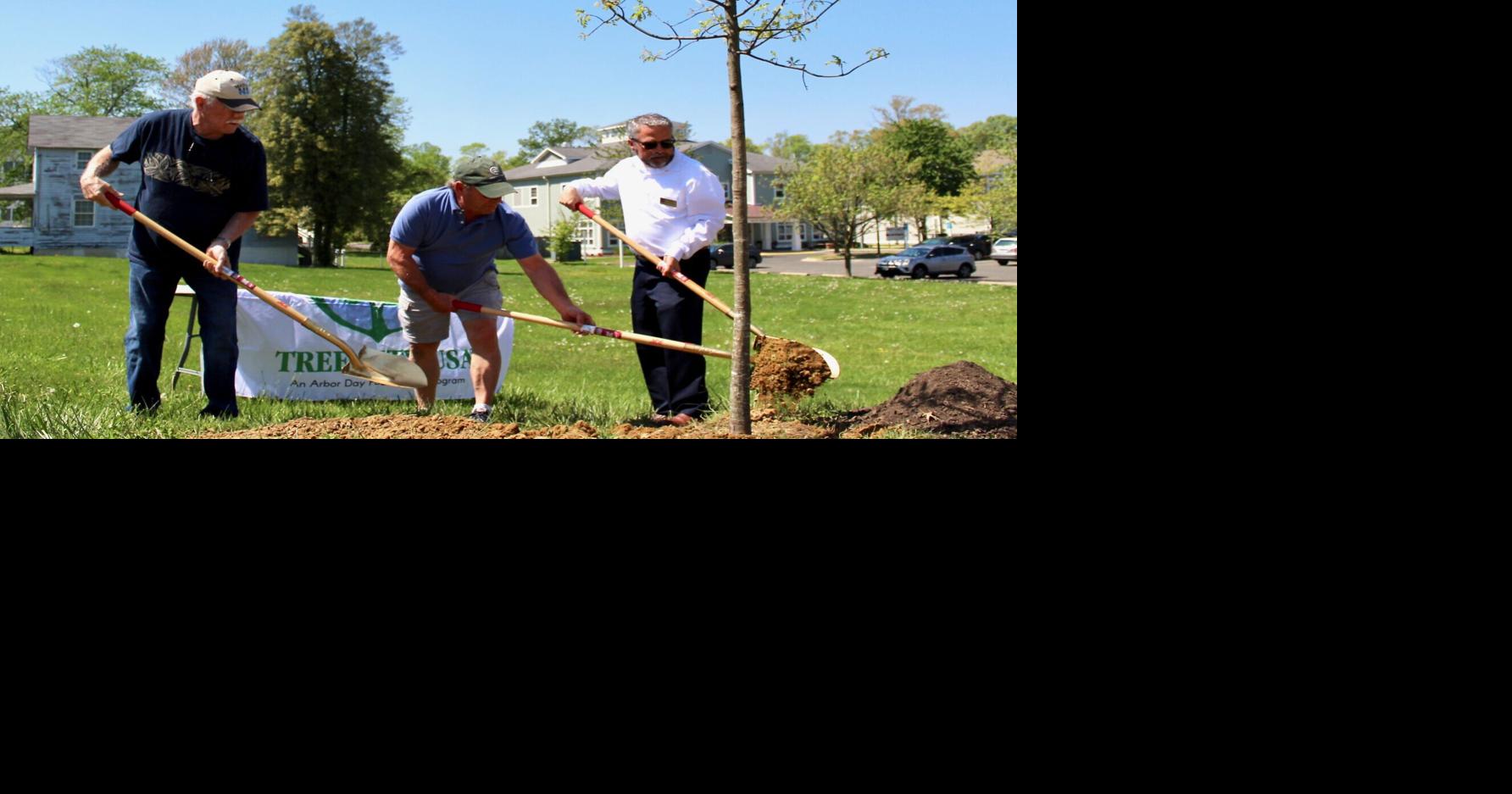 Town celebrates Arbor Day, Tree City designation | Local News ...
